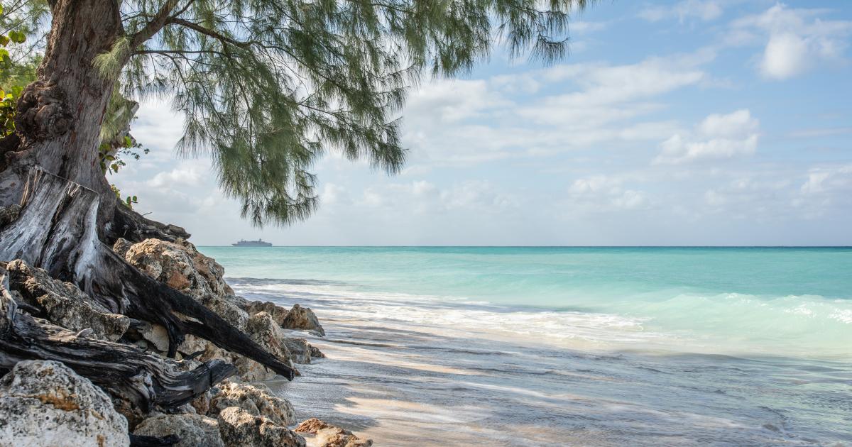 Cayman Economic Substance Guide 2023 | Carey Olsen